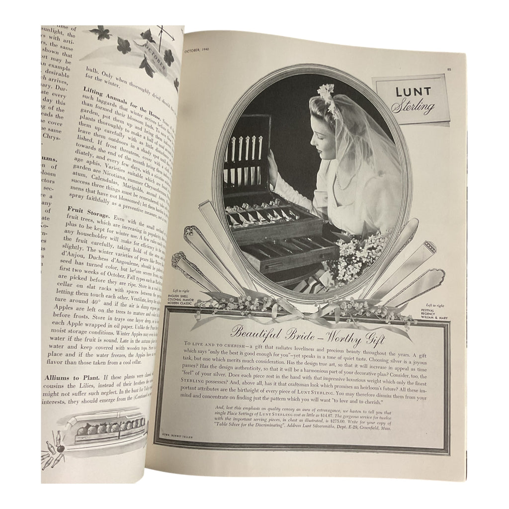 Avid Vintage - Vintage collectibles